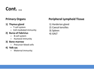 Avian immune system | PDF