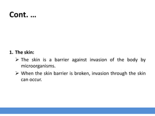 Avian immune system | PDF