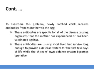 Introduction To Avian Immunity | PPTX