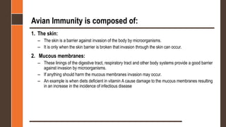 1- Avian Immunity_Intorduction.pptx | Infectious Diseases | Diseases ...