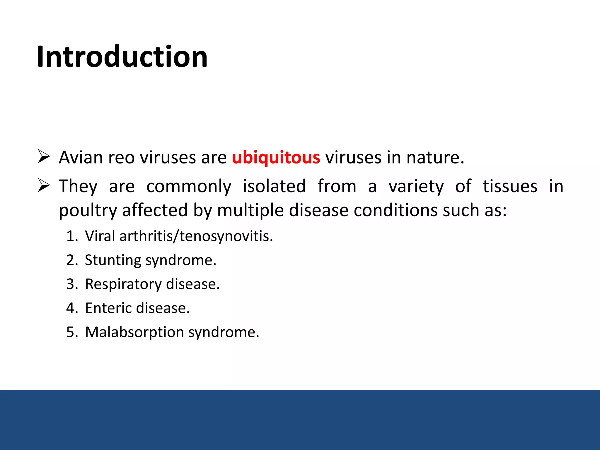 Avian Reo Virus | PPTX
