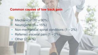 Back pain presentation for class project | PPTX
