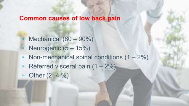 Back pain presentation for class project | PPT
