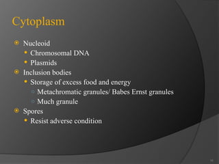 food microbiology bacterial contamination | PPT