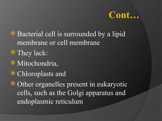 food microbiology bacterial contamination | PPT