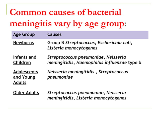 1-bacterial meningitis.ppt for medical student | PPT