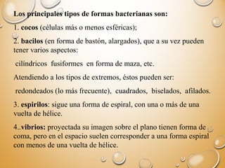 1 bacterias-aspectos generales-i | PPT