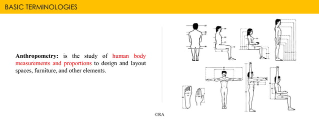 1- Basic Anthropometry & ergonomics RA.pdf