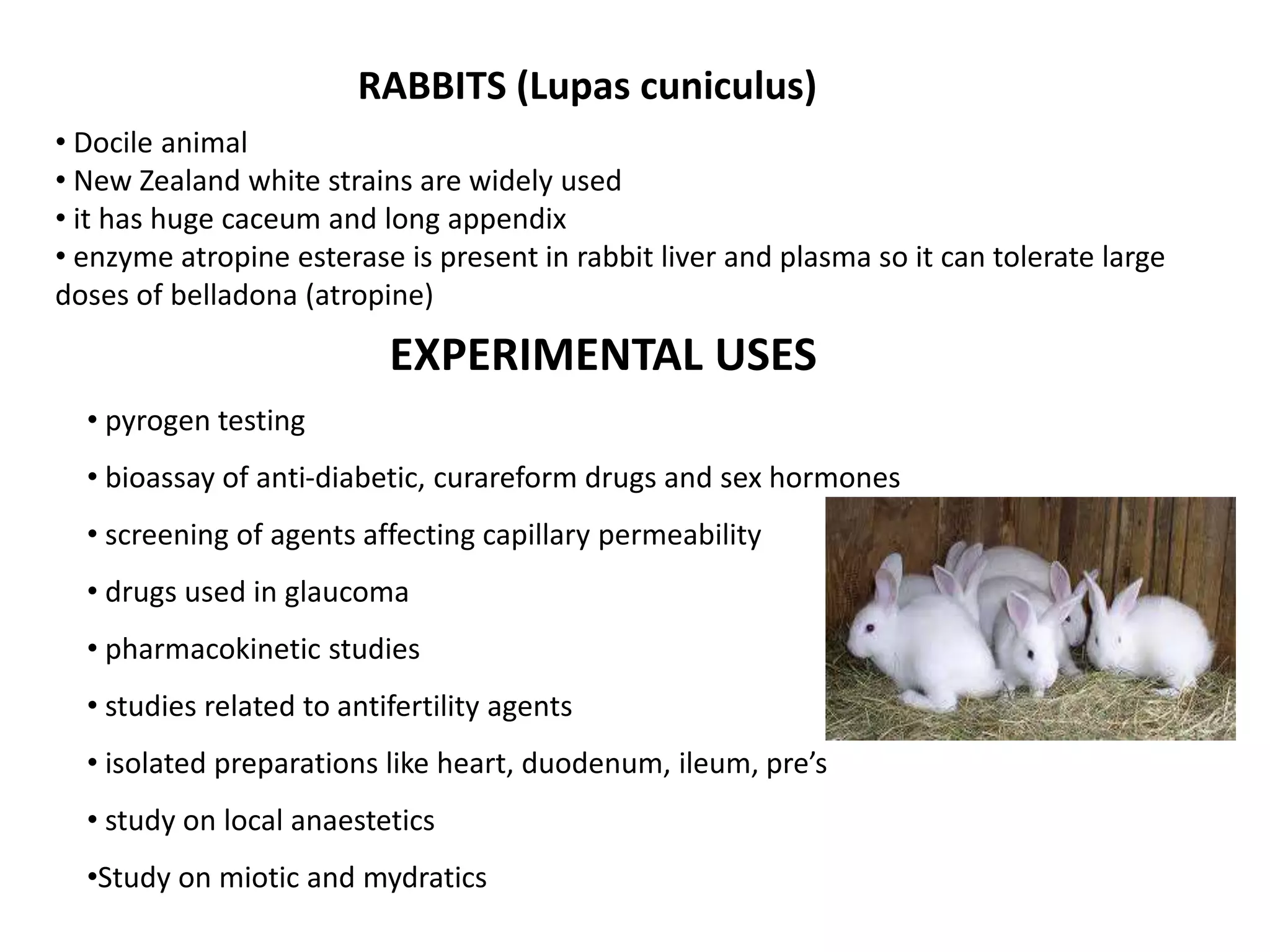 1. basics of experimental pharmacology | PPTX