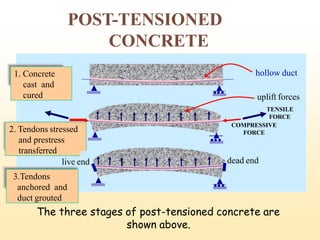 1-Basics of Prestressed Concrete.pdforgs | PDF