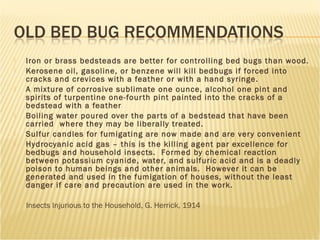 1. bed bugs | PPT
