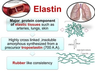 1- Biochemical and molecular basis of lung diseases .ppt | Lung and ...