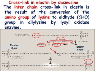 1- Biochemical and molecular basis of lung diseases .ppt