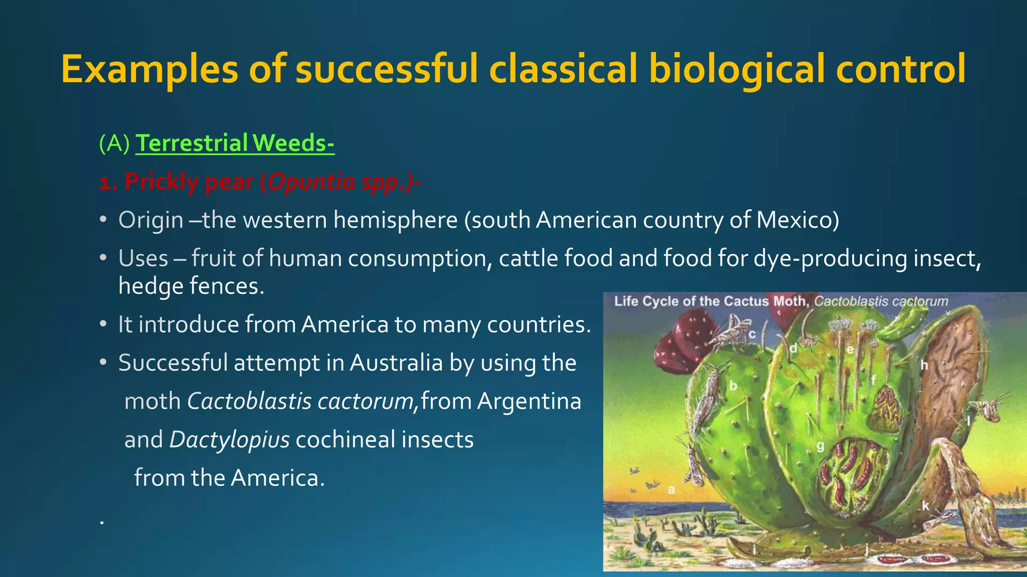 1 biological control of weeds-ajay sharma | PPTX
