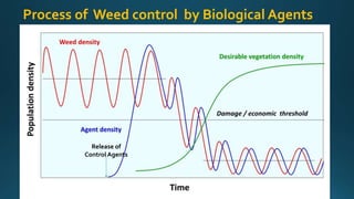 1 biological control of weeds-ajay sharma | PPTX