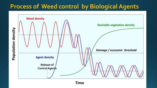 1 biological control of weeds-ajay sharma | PPTX