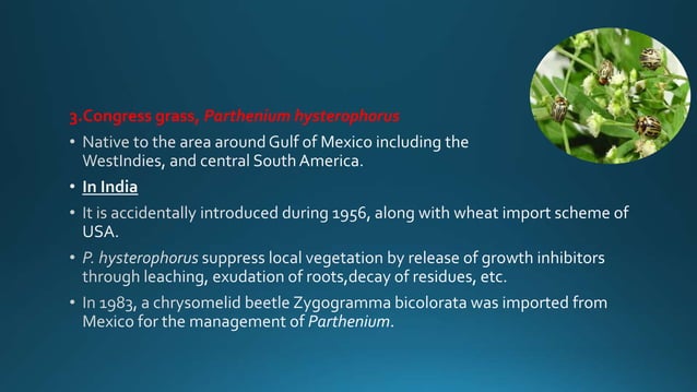 1 biological control of weeds-ajay sharma | PPTX