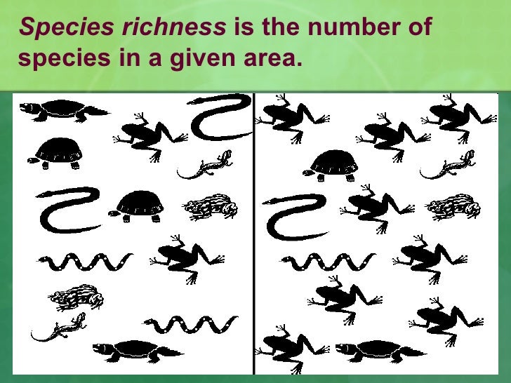 BIOLOGICAL DIVERSITY