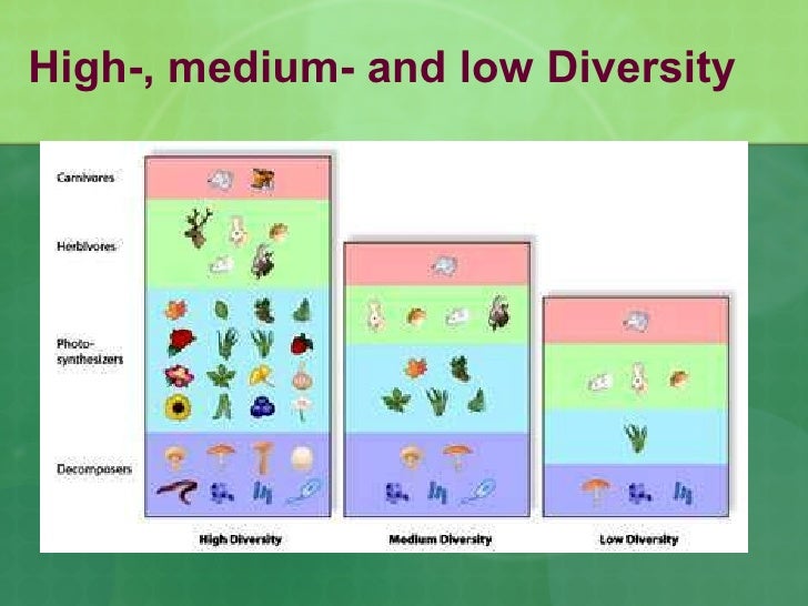 BIOLOGICAL DIVERSITY