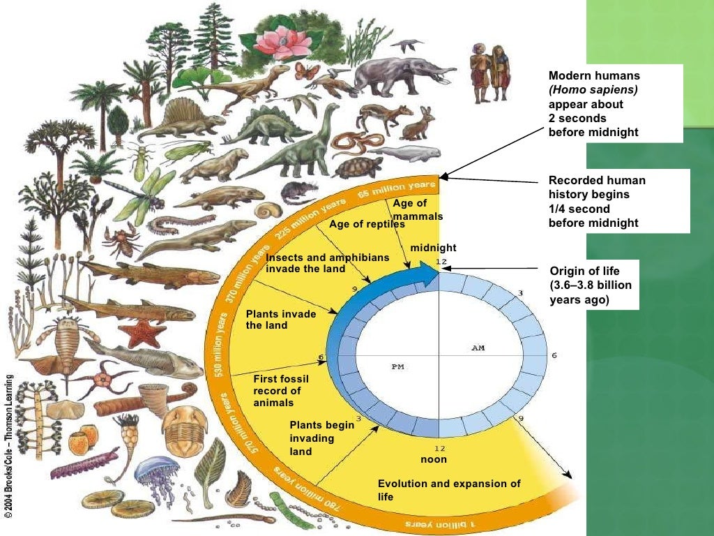 BIOLOGICAL DIVERSITY BIOLOGICAL DIVERSITY
