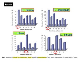1 biosynthesis of nanoparticles - algae | PPTX