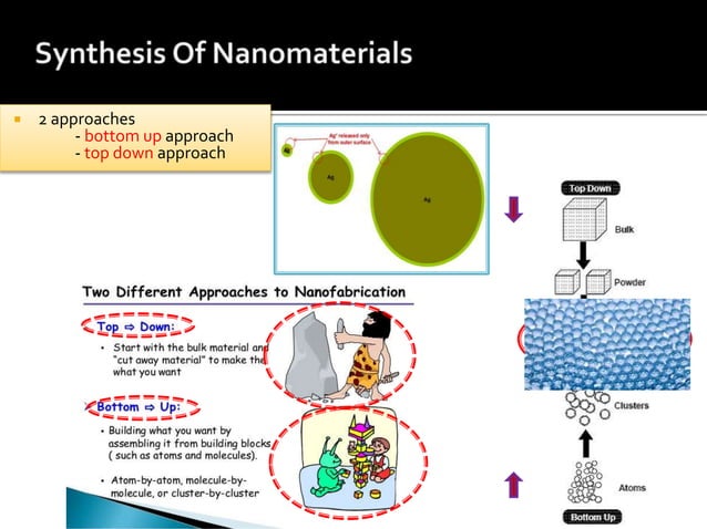 1 biosynthesis of nanoparticles - algae | PPT