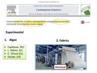 1 biosynthesis of nanoparticles - algae | PPTX