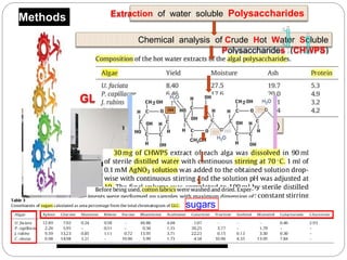 1 biosynthesis of nanoparticles - algae | PPTX