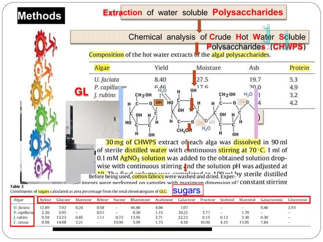 1 biosynthesis of nanoparticles - algae | PPT