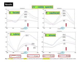 1 biosynthesis of nanoparticles - algae | PPTX