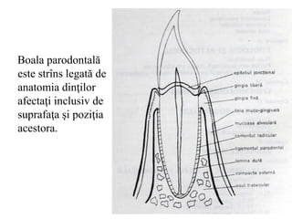 1-Boala-Parodontala.................pptx