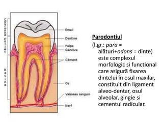 1-Boala-Parodontala.................pptx