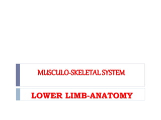 1- BONES OF LOWER LIMB WITH MORE DETAILS.ppt