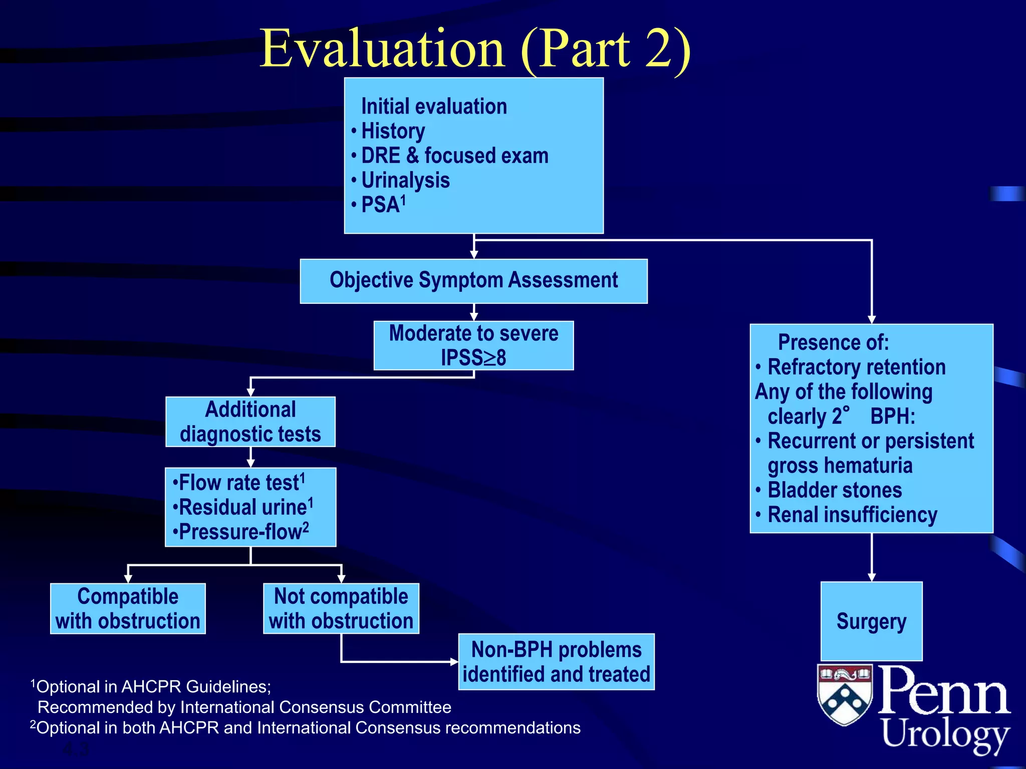 benign prostatic hyperplasia (BPH) | PPTX