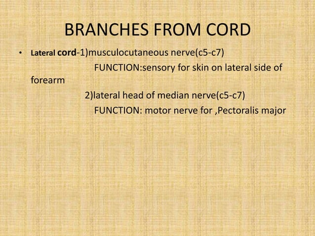 1. brachial plexus & its applied anatomy[1] | PPTX