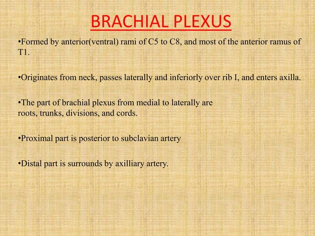 1. brachial plexus & its applied anatomy[1] | PPTX