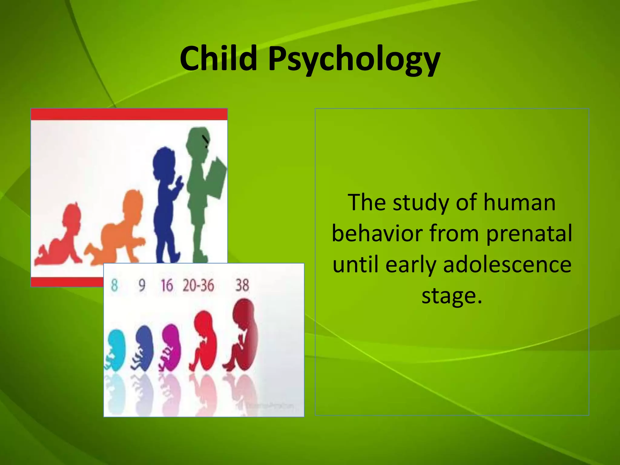 Branches of Psychology | PPTX