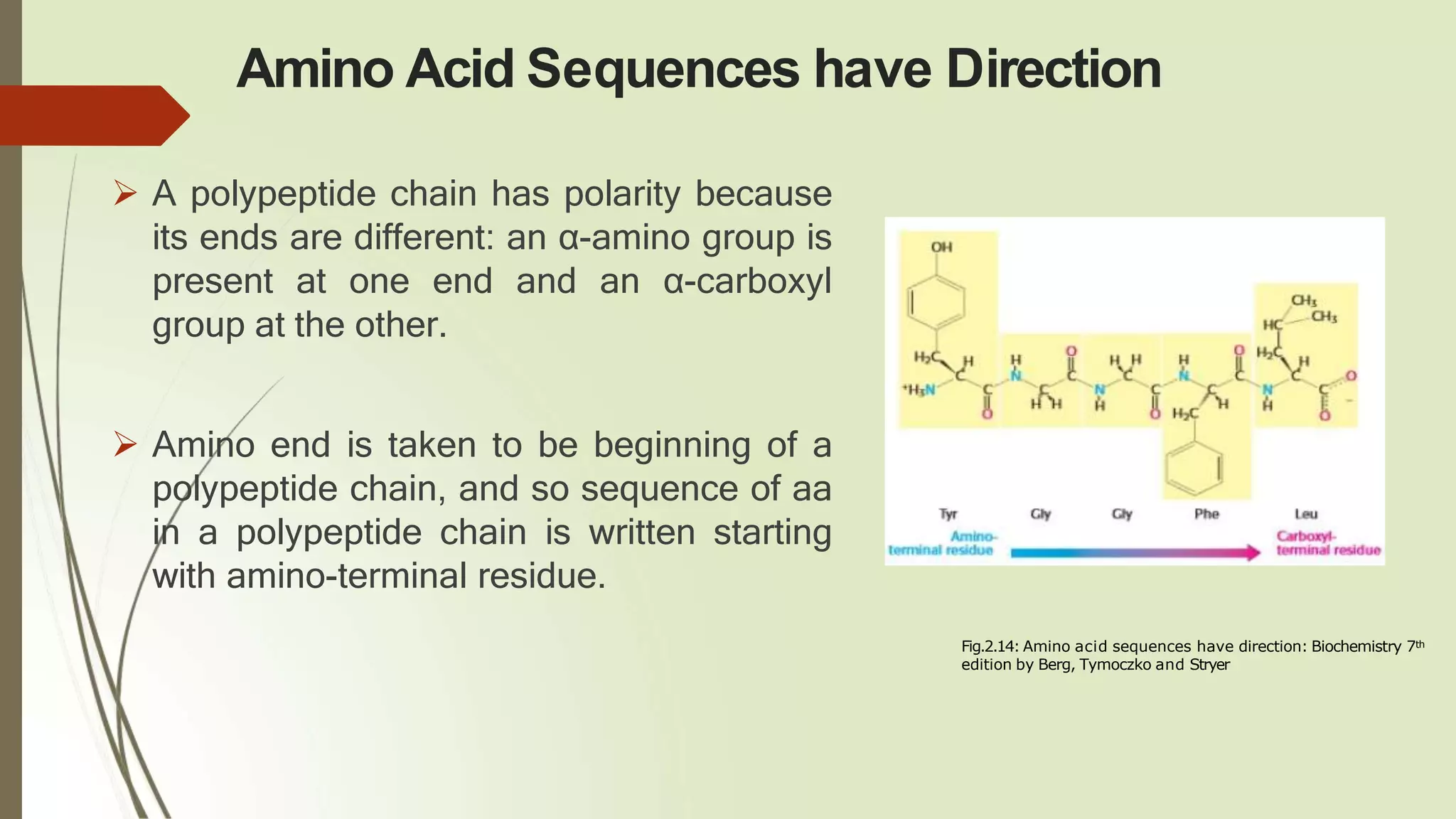 Structure of Proteins | PPTX