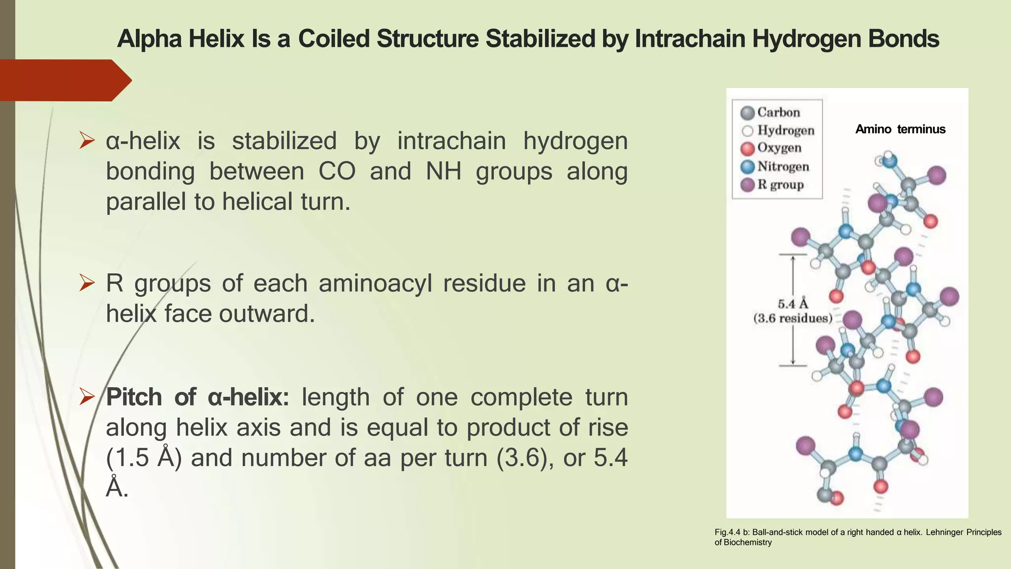 Structure of Proteins | PPTX