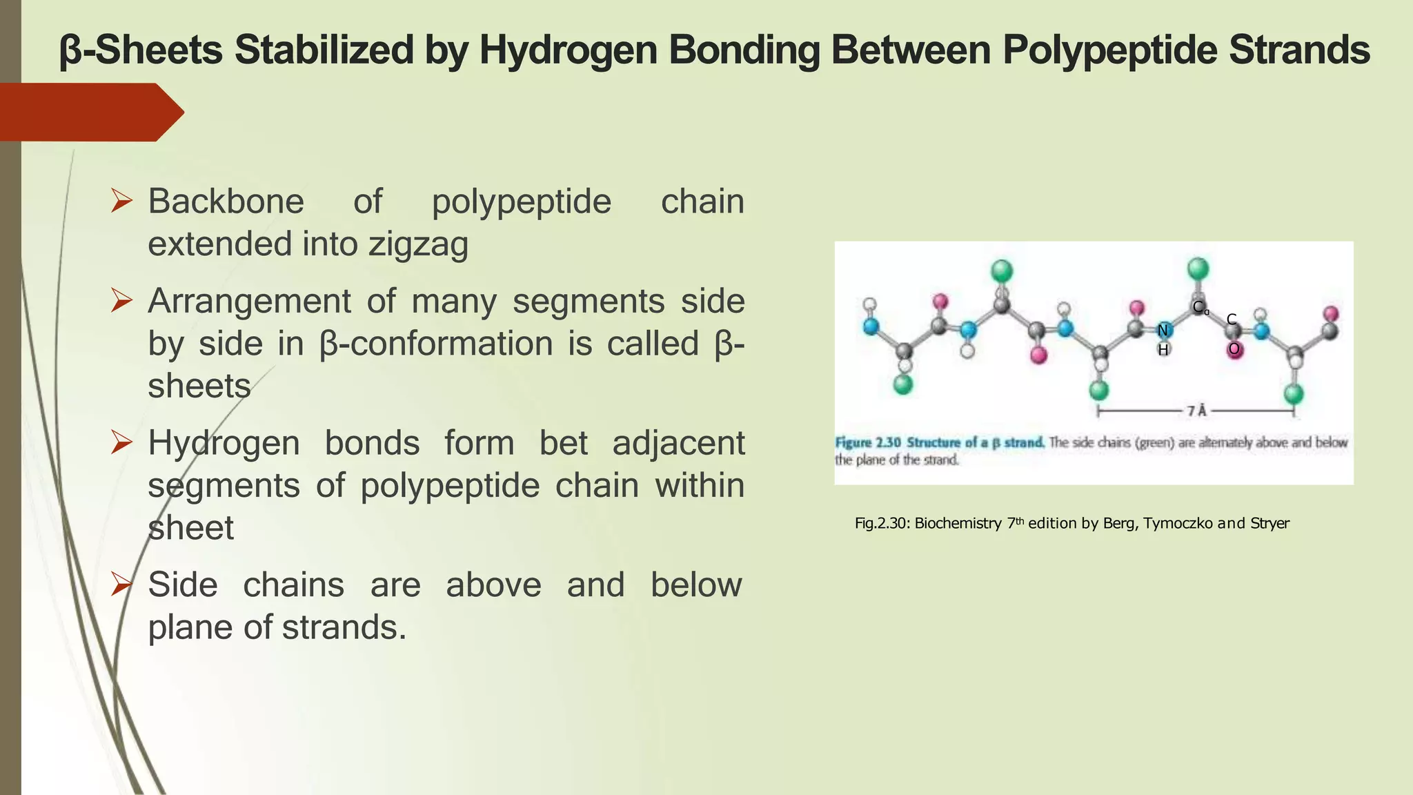 Structure of Proteins | PPTX