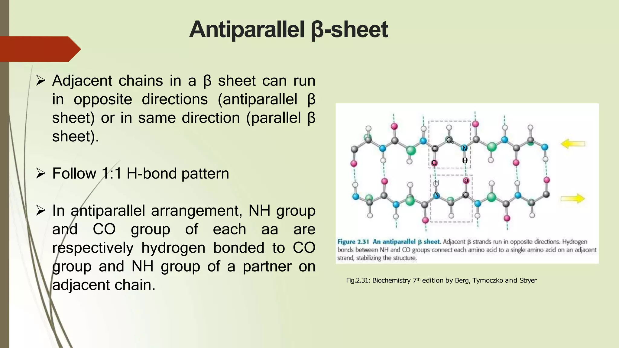 Structure of Proteins | PPTX