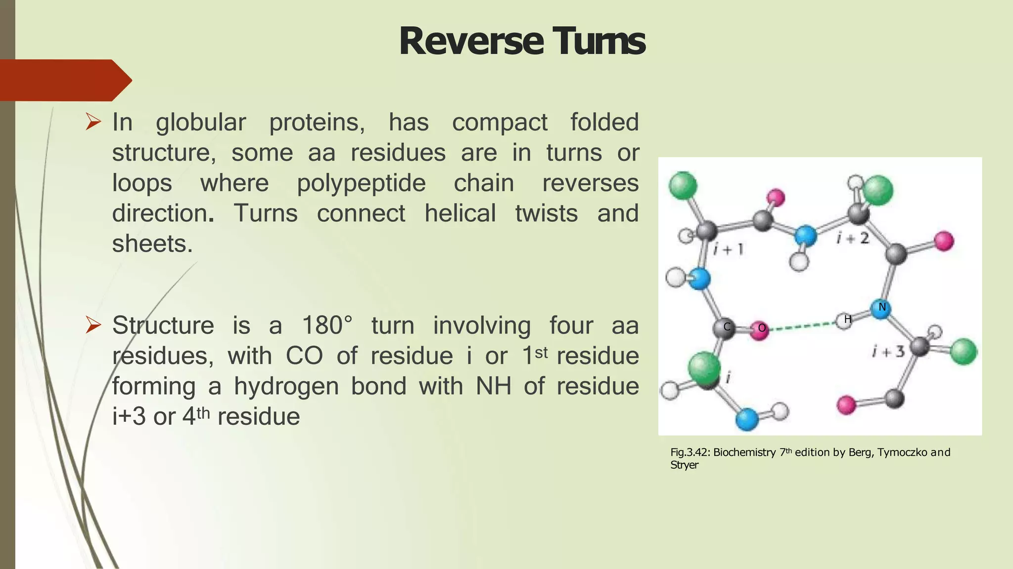 Structure of Proteins | PPTX