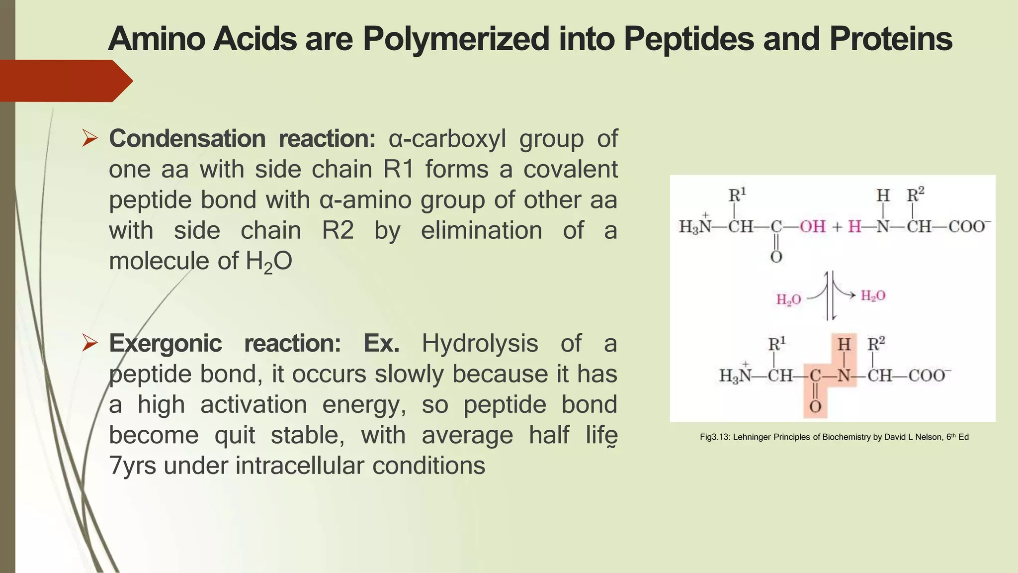 Structure of Proteins | PPTX