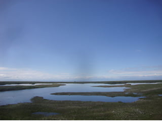 1.b why do people live where they do | PPT