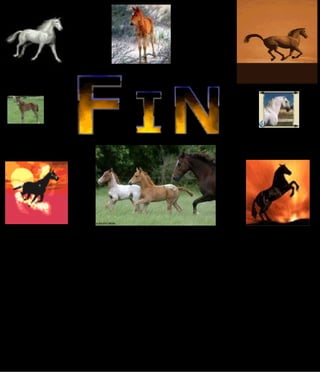 1 Caballos (Nx Power Lite) | PPT