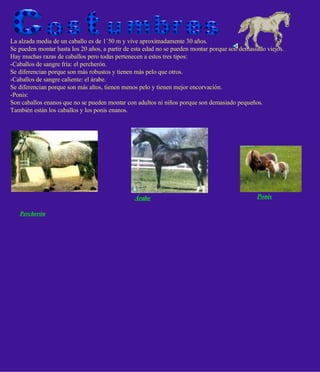 1 Caballos (Nx Power Lite) | PPT