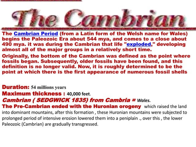 Cambrian-Ordovician Periods | PPTX | Geography | Science