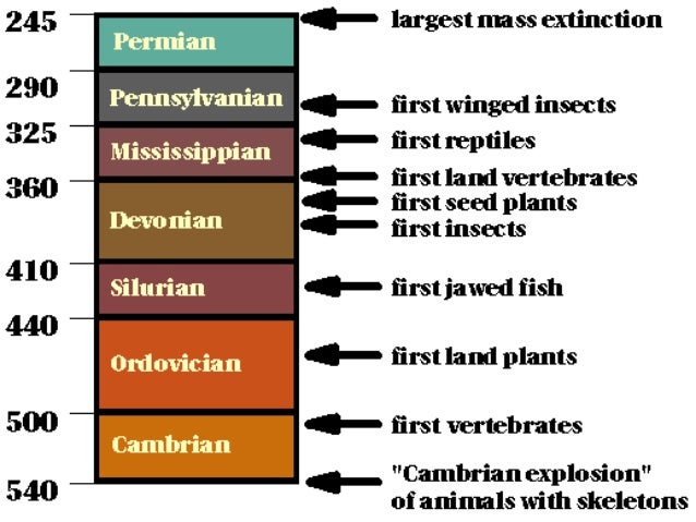 Cambrian-Ordovician Periods