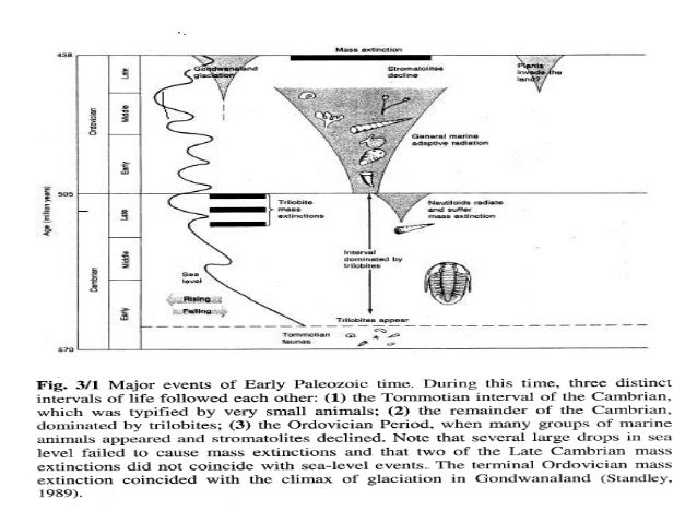 Cambrian-Ordovician Periods