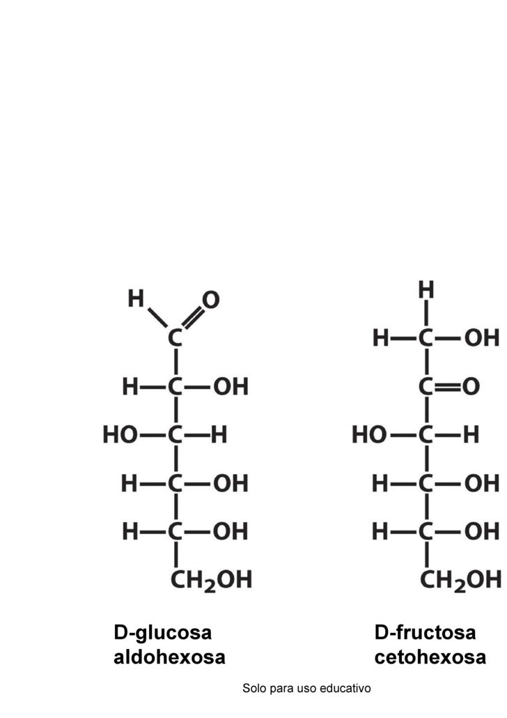 1.Carbohidratos 20091